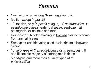 PPT - Yersinia Enterocolitica PowerPoint Presentation - ID:3110612