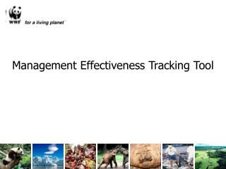 PPT - Management Effectiveness Tracking Tool PowerPoint Presentation ...