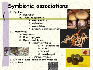PPT - Symbiotic Relationships PowerPoint Presentation - ID:1483802