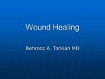 PPT - Wound Healing PowerPoint Presentation, free download - ID:709972