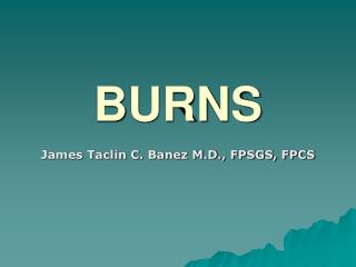 PPT - BURNS PowerPoint Presentation, free download - ID:712537