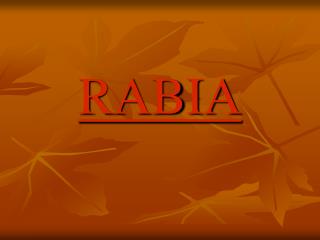 PPT - RABIA PowerPoint Presentation, free download - ID:752481