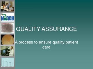 PPT - QUALITY ASSURANCE PowerPoint Presentation, free download - ID:759559