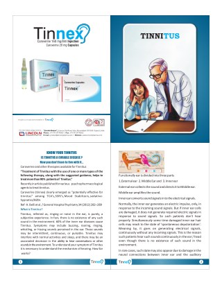 Tinnex Online Presentations Channel