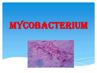PPT - Mycobacterium PowerPoint Presentation, free download - ID:8831987