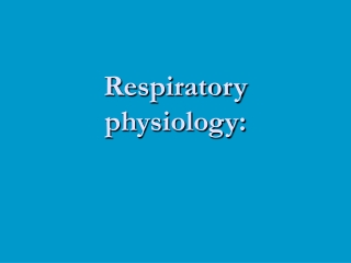 PPT - Respiratory physiology: PowerPoint Presentation, free download ...