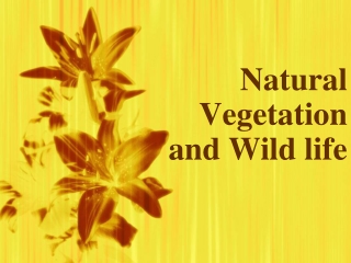 PPT - Natural Vegetation and Wild life PowerPoint Presentation, free ...