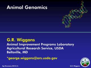 PPT - Animal Genomics PowerPoint Presentation, free download - ID:919675