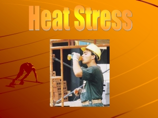 PPT - Heat Stress PowerPoint Presentation, free download - ID:9346923