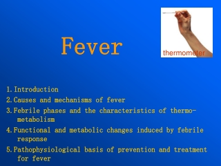 PPT - Fever PowerPoint Presentation, free download - ID:9382255