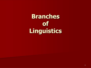 PPT - Branches of Linguistics PowerPoint Presentation, free download ...