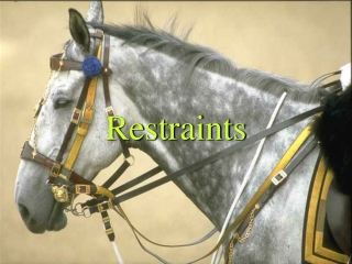 Cpi restraints PowerPoint (PPT) Presentations, Cpi restraints PPTs ...