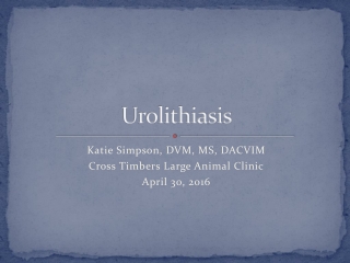 PPT - Urolithiasis PowerPoint Presentation, free download - ID:9425691
