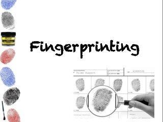 PPT - Fingerprinting PowerPoint Presentation, free download - ID:9432603