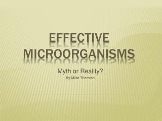 PPT - Effective Microorganisms PowerPoint Presentation, free download ...