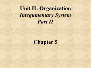 Richard A Cathcart Online Presentations Channel