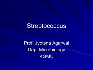 PPT - Streptococcus PowerPoint Presentation, free download - ID:9520404