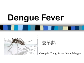PPT - Dengue Fever PowerPoint Presentation, free download - ID:9597417