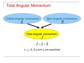 PPT - Total Angular Momentum PowerPoint Presentation, free download ...