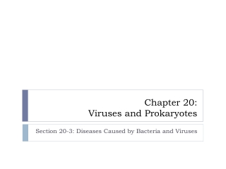 PPT - Chapter 20: Viruses and Prokaryotes PowerPoint Presentation, free ...