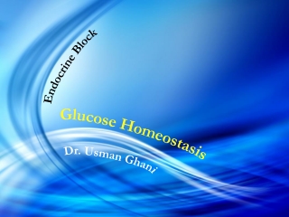 PPT - Glucose Homeostasis PowerPoint Presentation, free download - ID ...