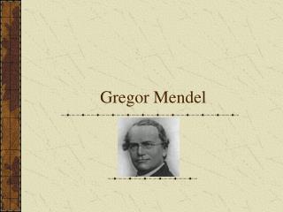 PPT - Gregor Mendel PowerPoint Presentation, free download - ID:966715