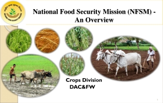 PPT - National Food Security Mission (NFSM) - An Overview PowerPoint ...