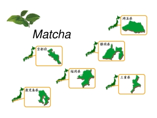 PPT - Matcha PowerPoint Presentation, free download - ID:9678451