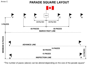 PPT - PARADE SQUARE LAYOUT PowerPoint Presentation, free download - ID ...