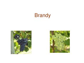 PPT - Brandy PowerPoint Presentation, free download - ID:974541