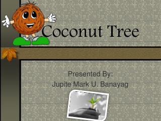 PPT - Coconut Tree PowerPoint Presentation, free download - ID:983980